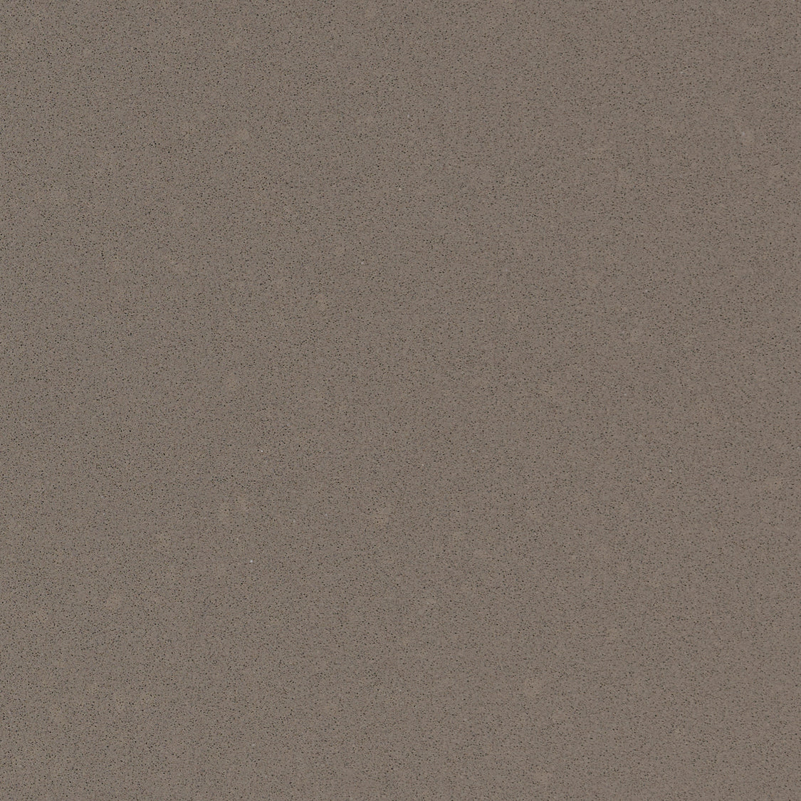Devon Quartz Sample - Cambria Quartz Surfaces – Cambria Samples Store