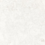 Seacourt Quartz Sample - Cambria Quartz Surfaces – Cambria Samples Store