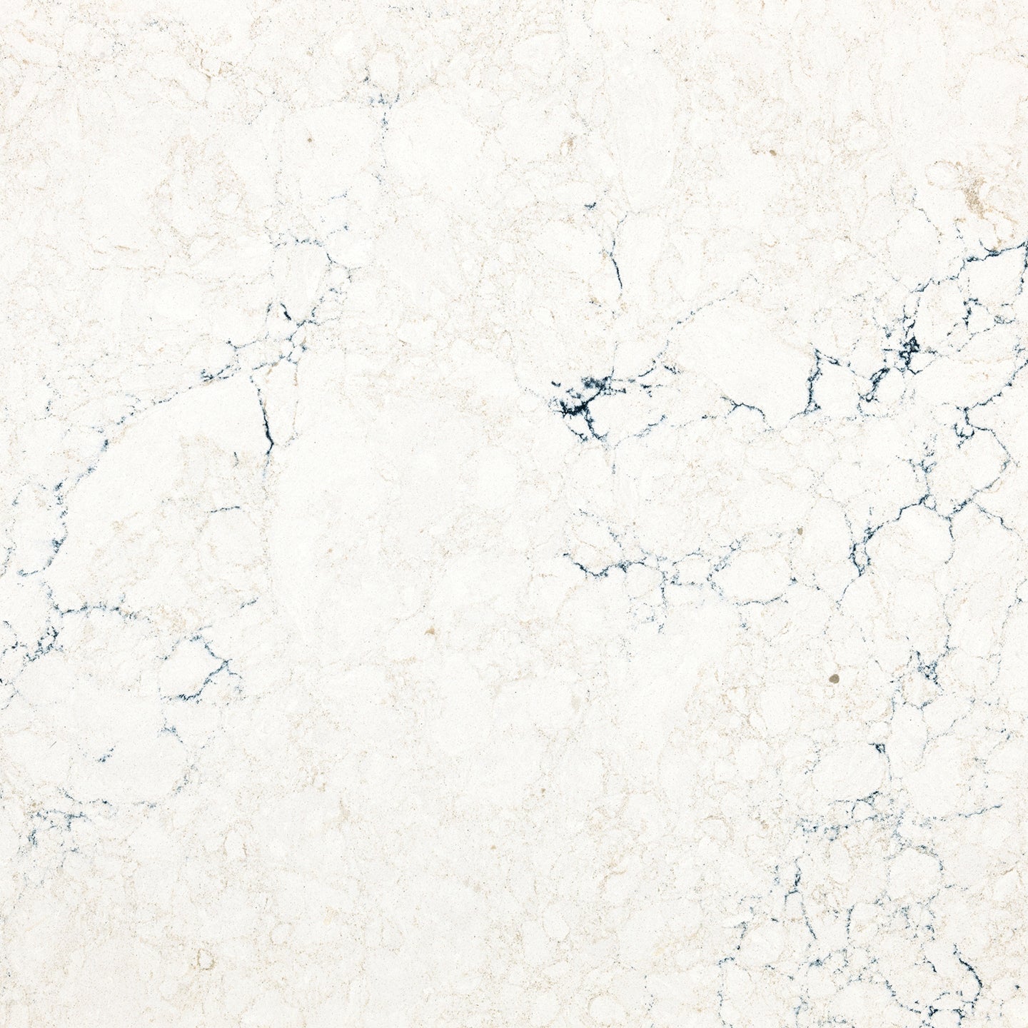 Travella Quartz Sample - Cambria Quartz Surfaces – Cambria Samples Store